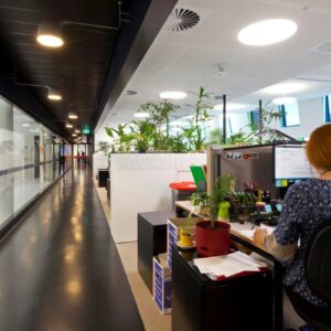 SUSPENDED CEILINGS – SAS205 - M & C Plaster Supplies